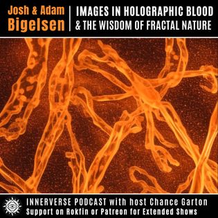 Josh & Adam Bigelsen | Images In Holographic Blood & the Wisdom of Fractal Nature - InnerVerse ...