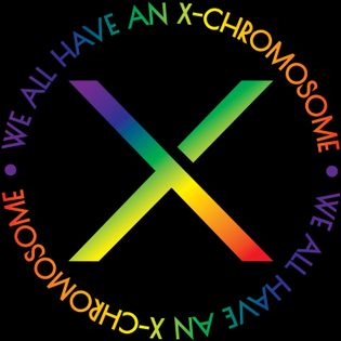 Episode 15: RIP Bianca Devins ... Yes All Men - We All Have An X ...