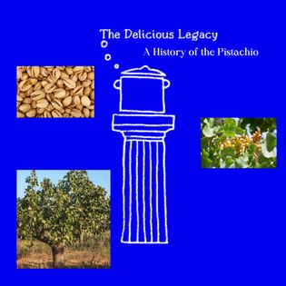 A Short History of Pistachio - The Delicious Legacy | Acast