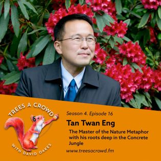 Tan Twan Eng: The Master of the Nature Metaphor with his roots deep in ...