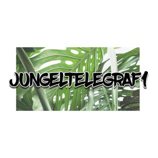 Hvorfor er du så kverulerende? - JungelTelegraf1 | Acast