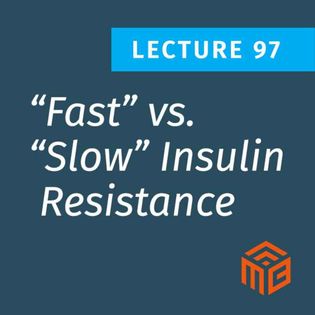 “Fast” vs. “Slow” Insulin Resistance: The Two Paths Explained - The ...