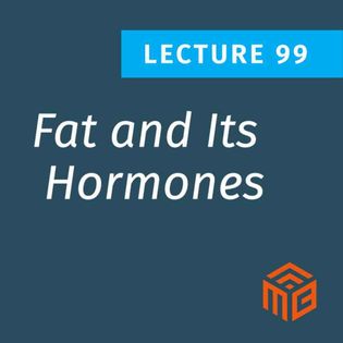 How Fat Hormones Affect Appetite, Inflammation, and Heart Health - The ...