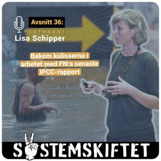 Den orättvisa klimatanpassningen med professor Lisa Schipper ...