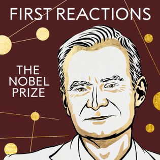First Reactions | Simon Johnson, prize in economic sciences 2024 ...