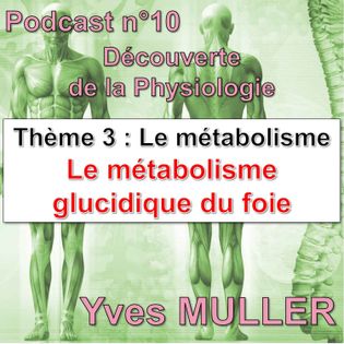 11. Le métabolisme glucidique du foie - La Chaîne du Vivant ...