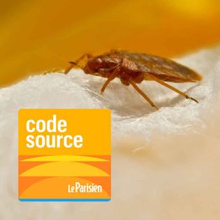 Punaises de lit : la grande inquiétude - Code source | Acast