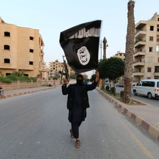 Isis returns to its insurgent roots - FT News in Focus | Acast