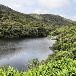 Could Bolsonaro policies speed Amazon deforestation? - FT News in Focus ...