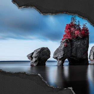 The Crimes of Noel Winters - Canadian True Crime | Acast