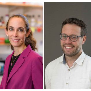 CRISPR Screening Roundtable: Stegmaier and Doench - Forum | Acast