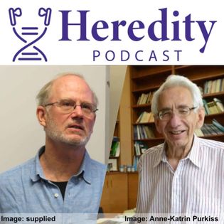 Grokking effective population size, with Robin Waples - Heredity ...