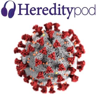 Can mutational meltdown help us defeat COVID-19? - Heredity Podcast | Acast