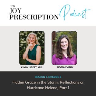 Hidden Grace in the Storm: Reflections on Hurricane Helene, Part 1 ...