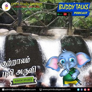 BUDDY TALKS | குற்றாலம் புலி அருவி | Importance of Music Theory - Prim ...