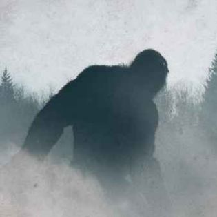 21 SCARY CRYPTID SIGHTING HORROR STORIES - Horror Den Of Misfits | Acast