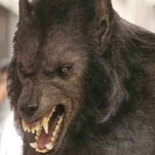 15 TRUE DISTURBING CREATURE SIGHTINGS HORROR STORIES - Horror Den Of ...