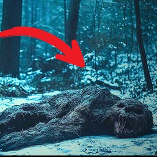 8 TRUE SCARY NATIVE AMERICAN HORROR STORIES - Horror Den Of Misfits | Acast