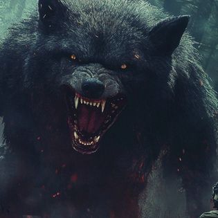 11 TRUE SCARY DOGMAN & WEREWOLF HORROR STORIES - Horror Den Of Misfits ...