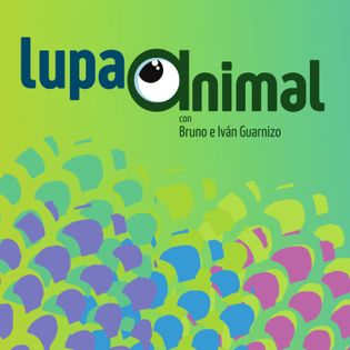 Lupa Animal - Hosted by Iván Guarnizo, Bruno Guarnizo
