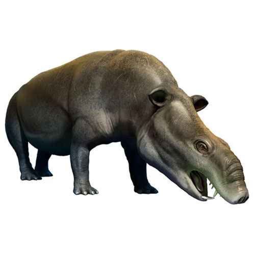 Moeritherium Toy Dinosaur | Meet The Moeritherium, A Distant Relative