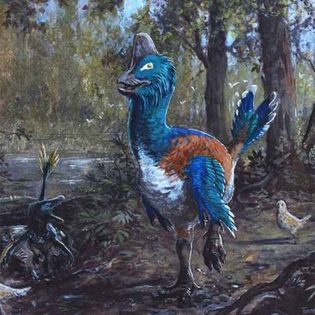 Anzu, the Mesopotamian Bird Demon - Paleo Bites | Acast