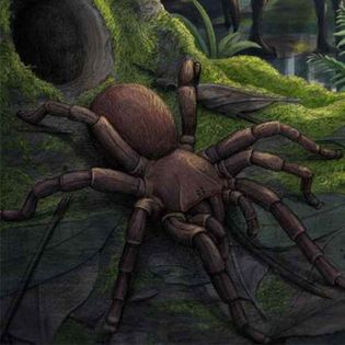 Megamonodontium, the Giant Trapdoor Spider - Paleo Bites | Acast