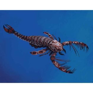 Megalograptus, the Great Writing - Paleo Bites | Acast