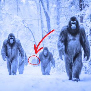 24 TRUE SCARY ALASKA PARK RANGER HORROR STORIES - Nightmare Creature ...