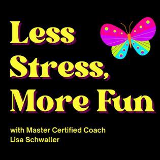 Less Stress, More Fun - Hosted by Lisa Schwaller