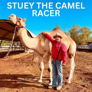 Stuey The Camel Racer - Proper True Yarn | Acast