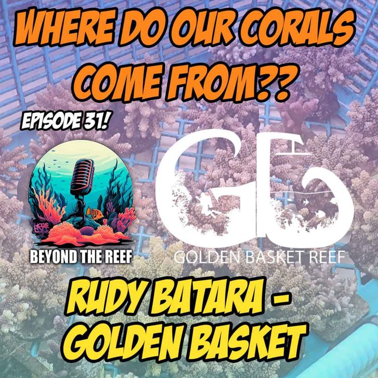 Where Do Our Corals Come From? Rudy Batara - Golden Basket Reef ...