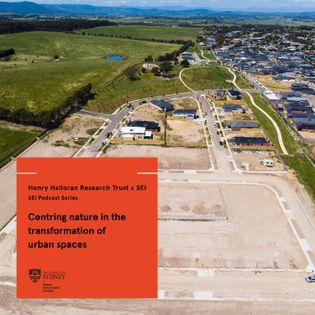 Centring nature in the transformation of urban spaces - The SEI Podcast ...