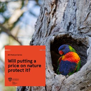 Will putting a price on nature protect it? - The SEI Podcast Series | Acast