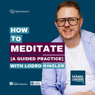 Brain Snack: How to Meditate [Guided Practice] with Lodro Rinzler - We ...