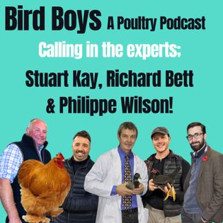 Calling in the experts: Stuart Kay, Richard Bett and Philippe Wilson ...
