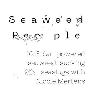 Solar-powered seaweed-sucking seaslugs with Nicole Mertens - Seaweed ...