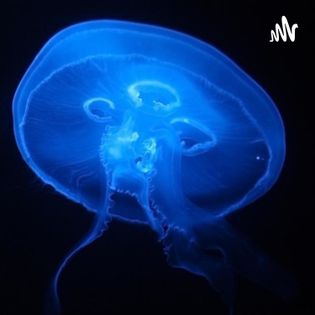 Deep Marine Scenes - Hosted by Deep Marine Scenes