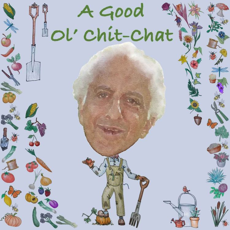 Ep46: A Good Ol' Chit-Chat With... Rajat Jindal - Not Just a Garden | Acast