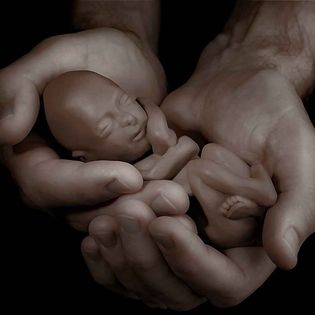 Kate Shemirani & Lara Hayes: Abortion & How One Woman Is Making A ...