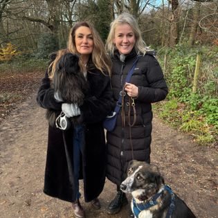 Jojo Moyes (Part One) - Walking The Dog with Emily Dean | Acast