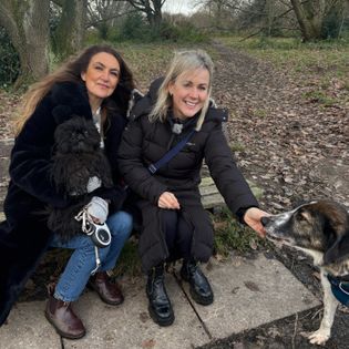 Jojo Moyes (Part Two) - Walking The Dog with Emily Dean | Acast