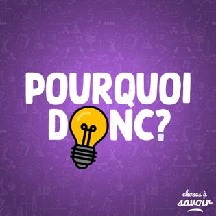Quelle est la différence entre un boulevard et une avenue ? - Pourquoi ...