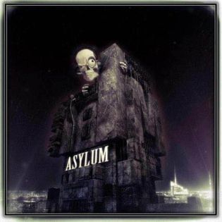 Mad Steve's Asylum - Mad Steve's Asylum | Acast