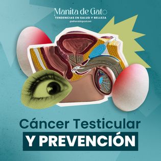 ¿Cómo saber que tengo CÁNCER de testículo? Señales de ALERTA - Manita ...