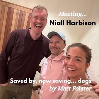 Meeting... Niall Harbison - Meeting... Niall Harbison | Acast